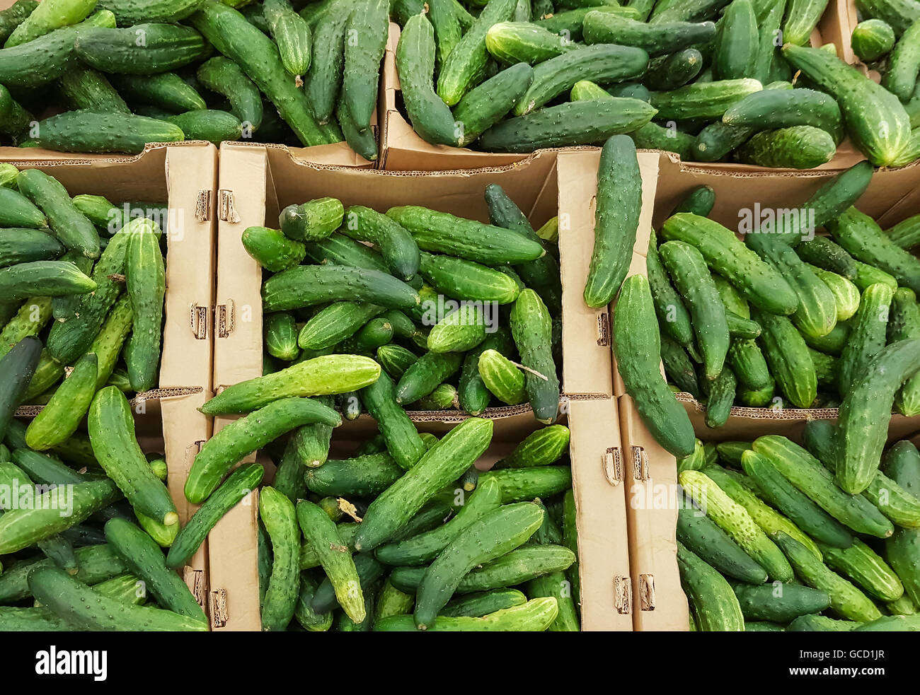 green cucumbers in boxes Stock Photo - Alamy