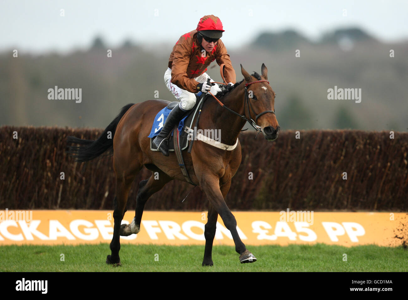 Horse Racing - Newbury Racecourse Stock Photo - Alamy