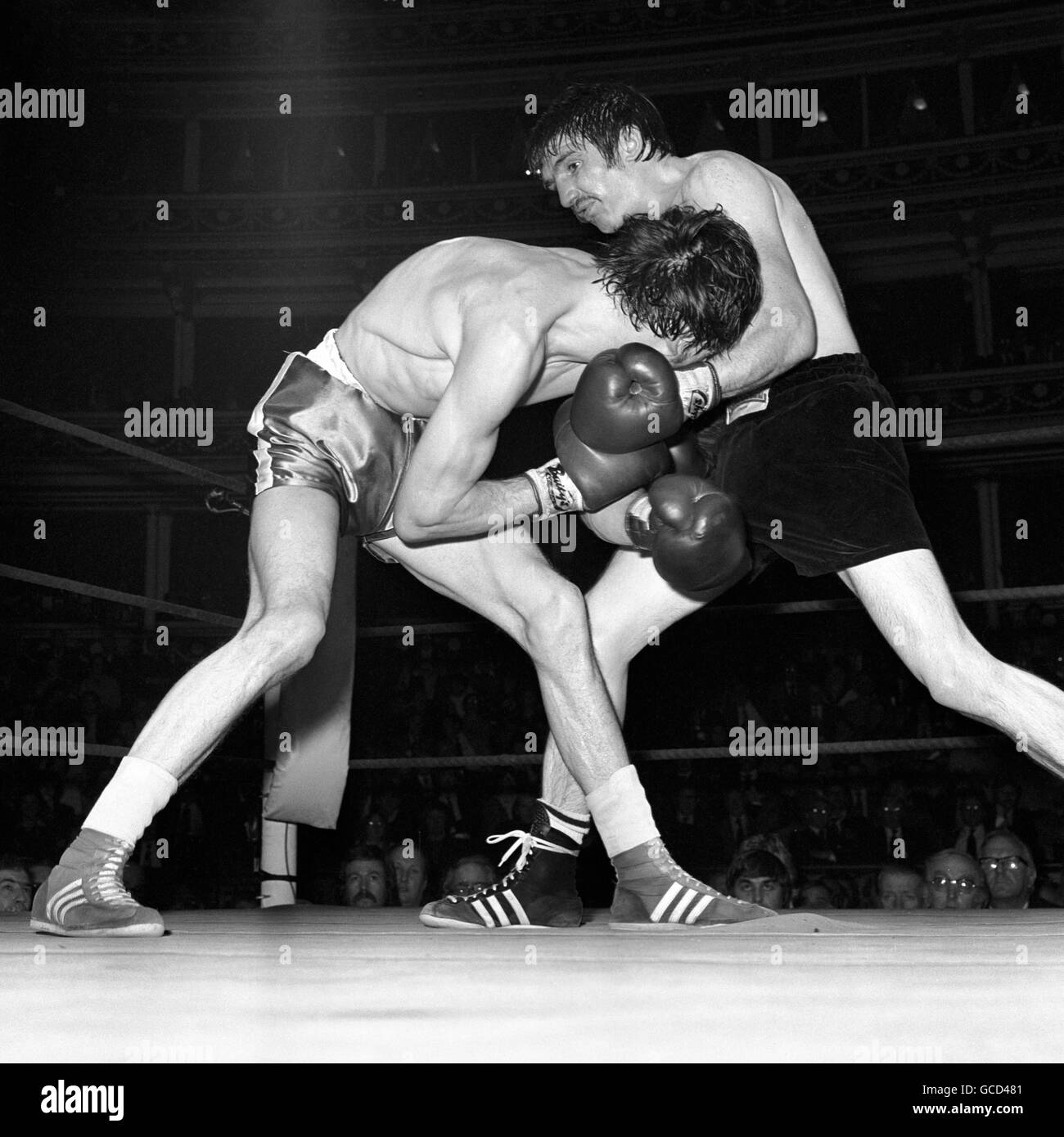 Boxing - BBBofC British Featherweight Title - Pat Cowdell v Dave ...