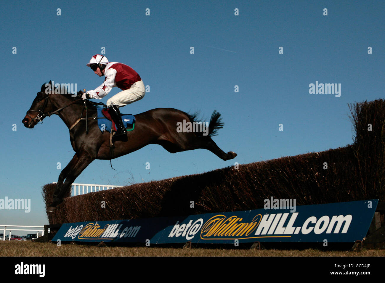 Horse racing celtic day ffos las racecourse hi-res stock photography ...