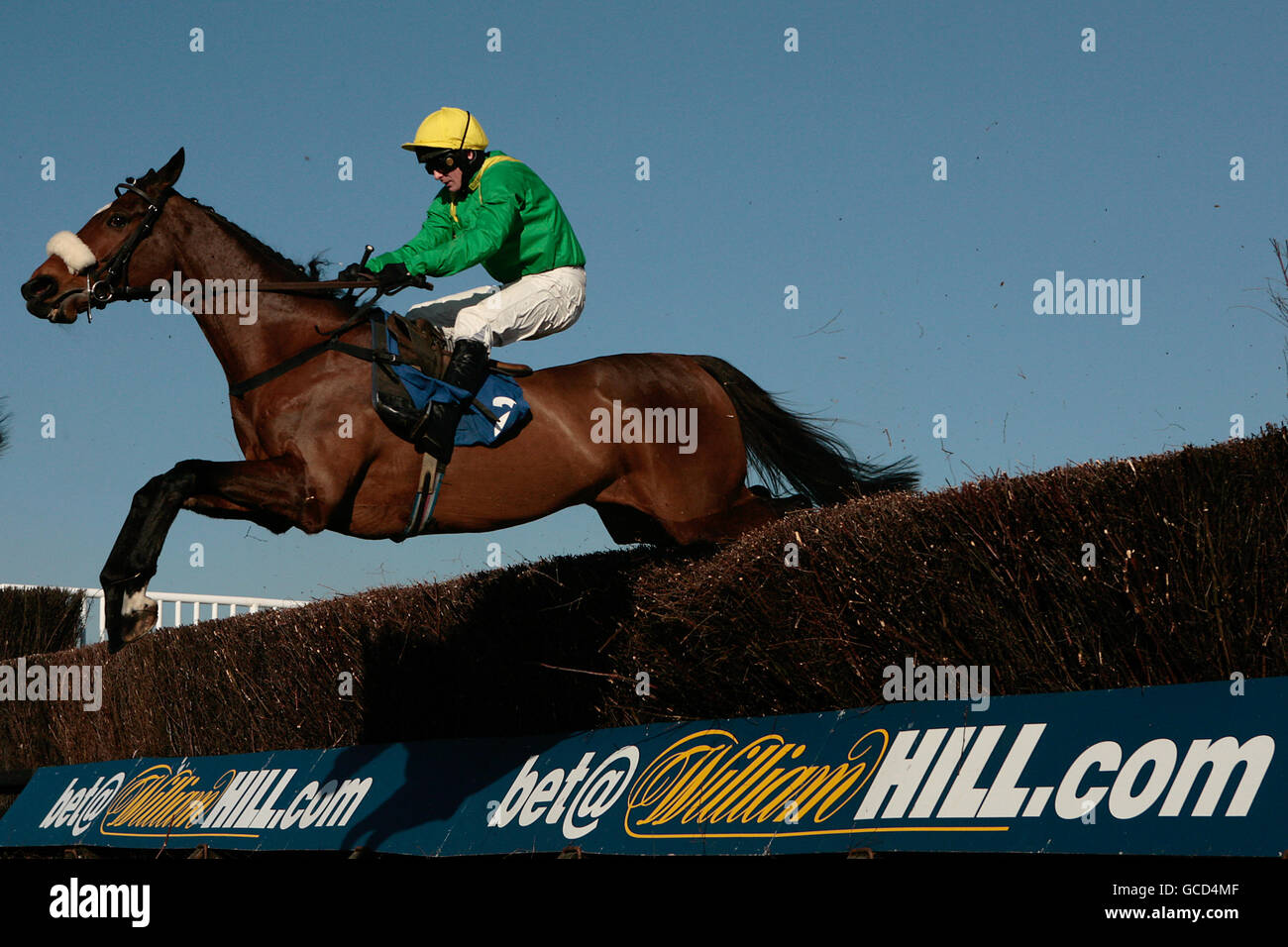 Horse Racing - Celtic Day - Ffos Las Racecourse Stock Photo - Alamy