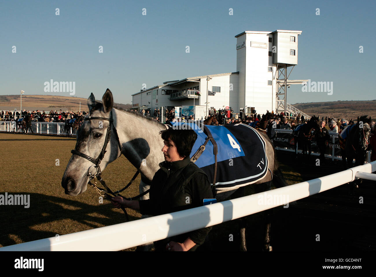 Celtic horses hi-res stock photography and images - Alamy