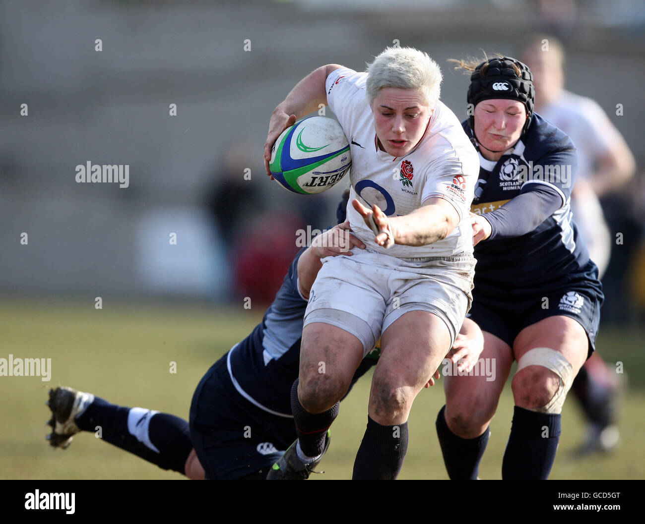 Meggetland stadium hi-res stock photography and images - Alamy