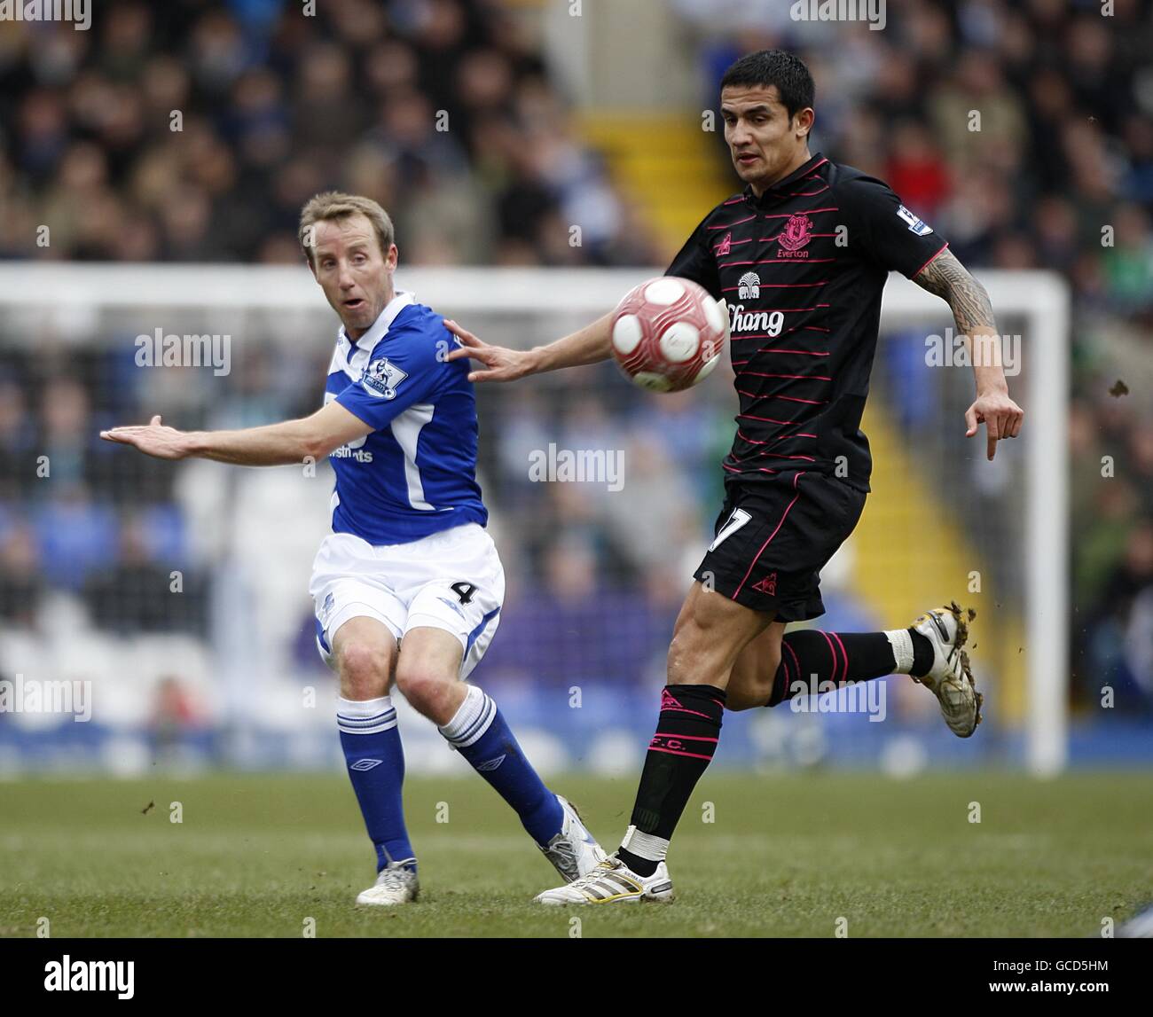 Birmingham City's Lee Bowyer (left) and Everton's Tim Cahill battle for ...