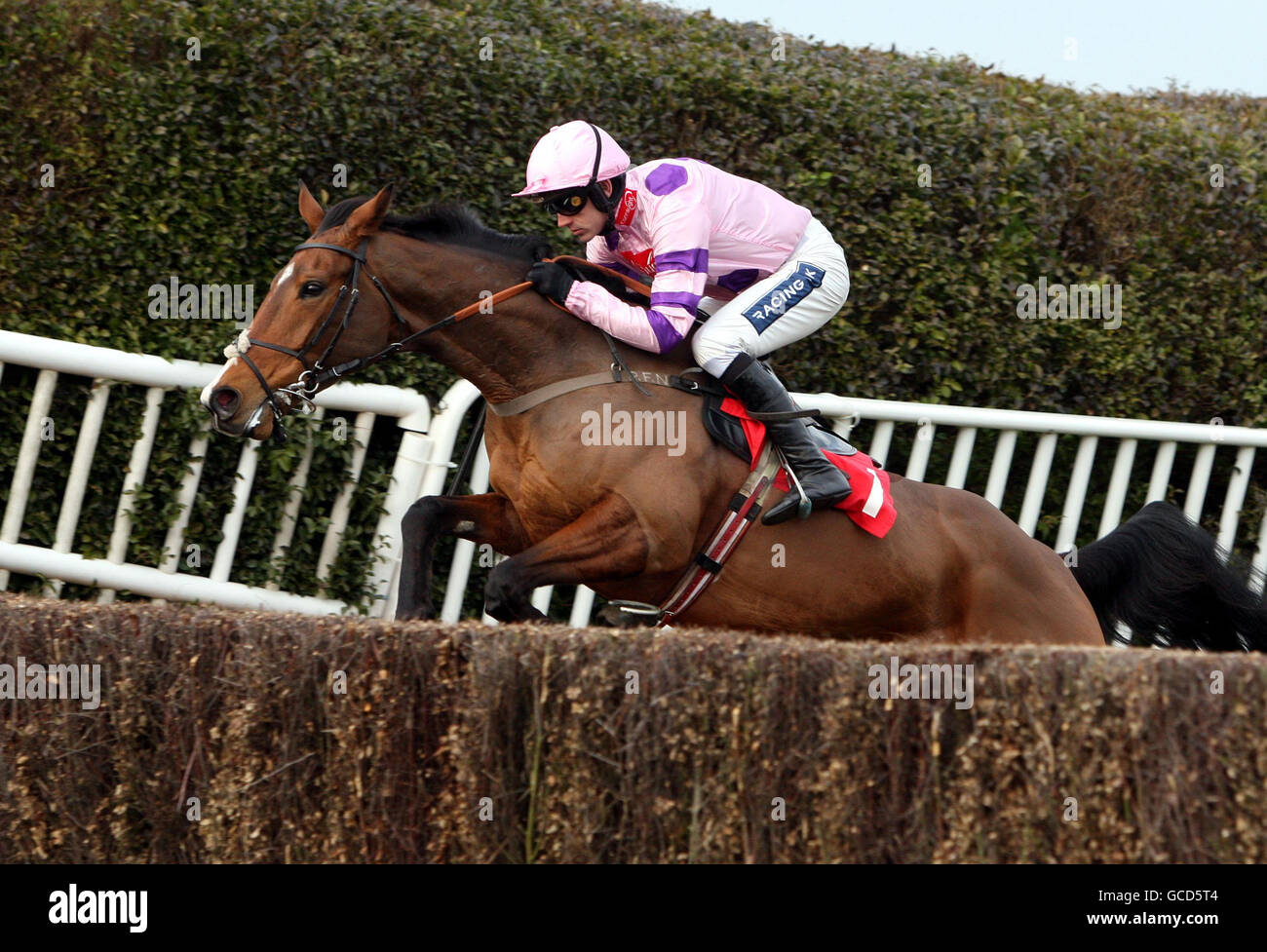 Horse Racing - Paddy Power Imperial Cup Day - Sandown Racecourse Stock ...