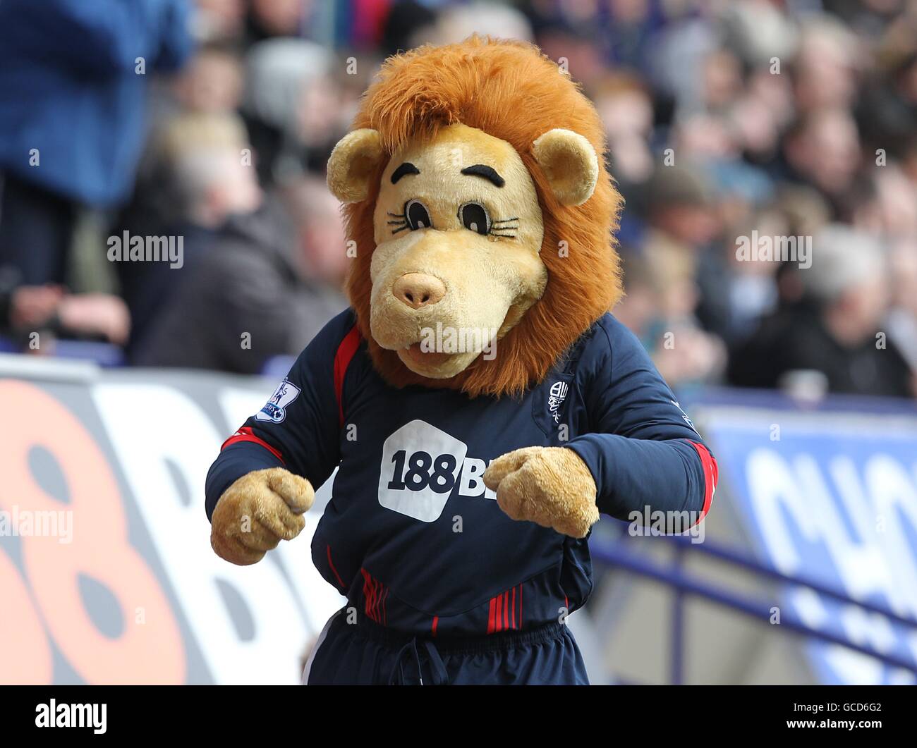 Lofty the lion hi-res stock photography and images - Alamy
