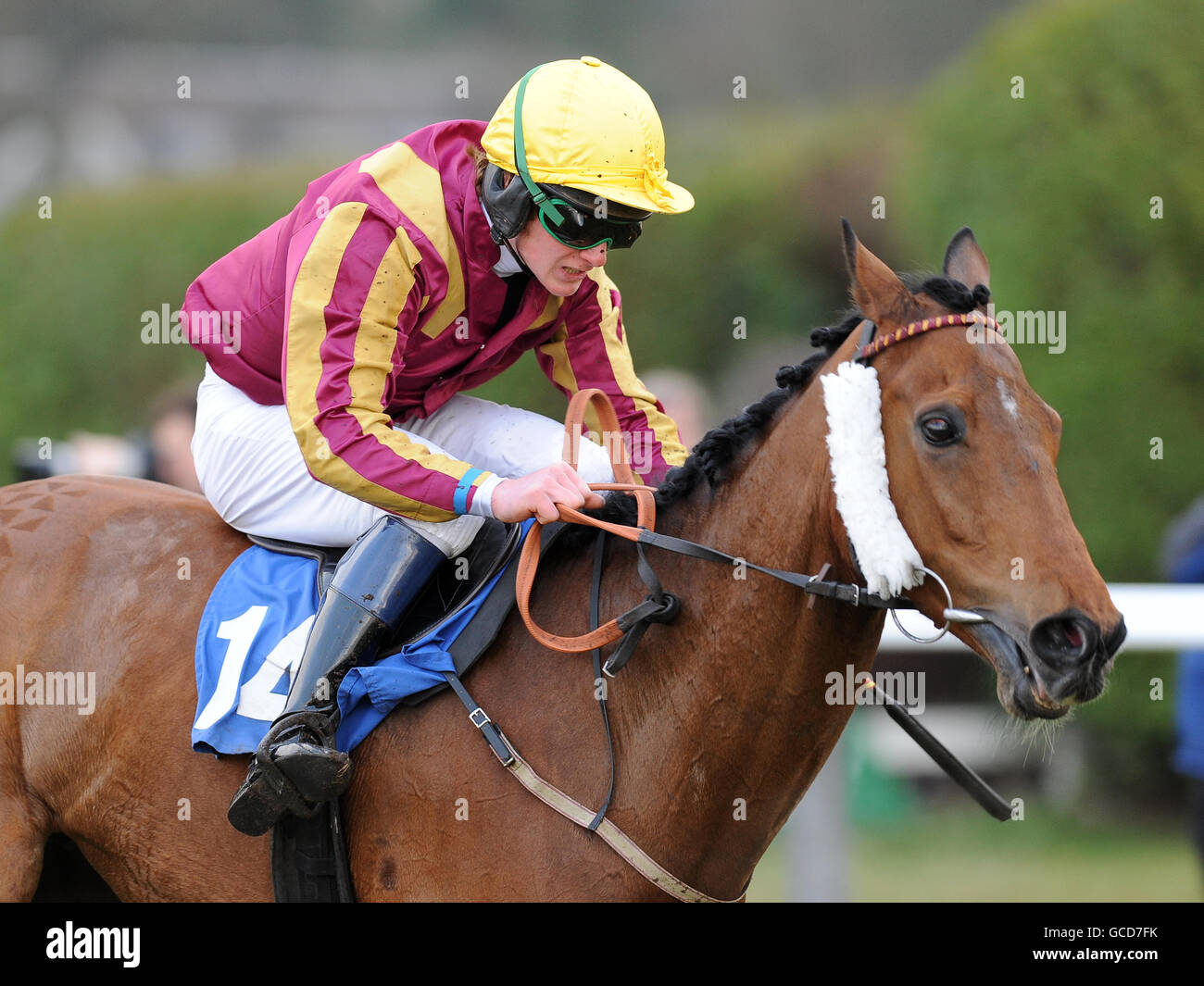 Chris timons hi-res stock photography and images - Alamy