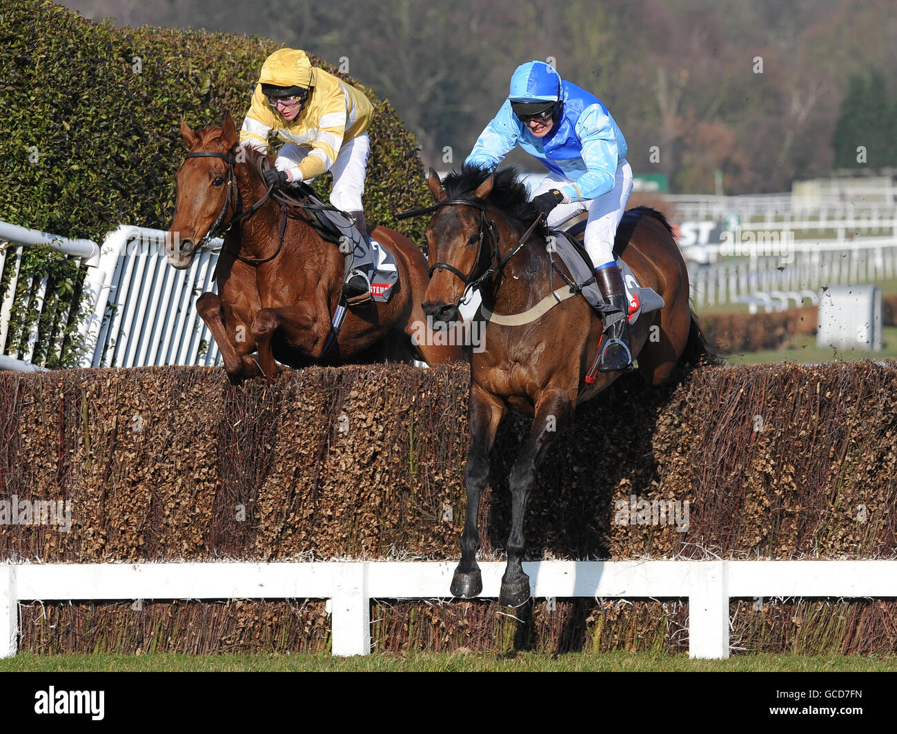 Jockey Major Felix Wheeler on Mokum (right) jumps ahead of Sergeant ...
