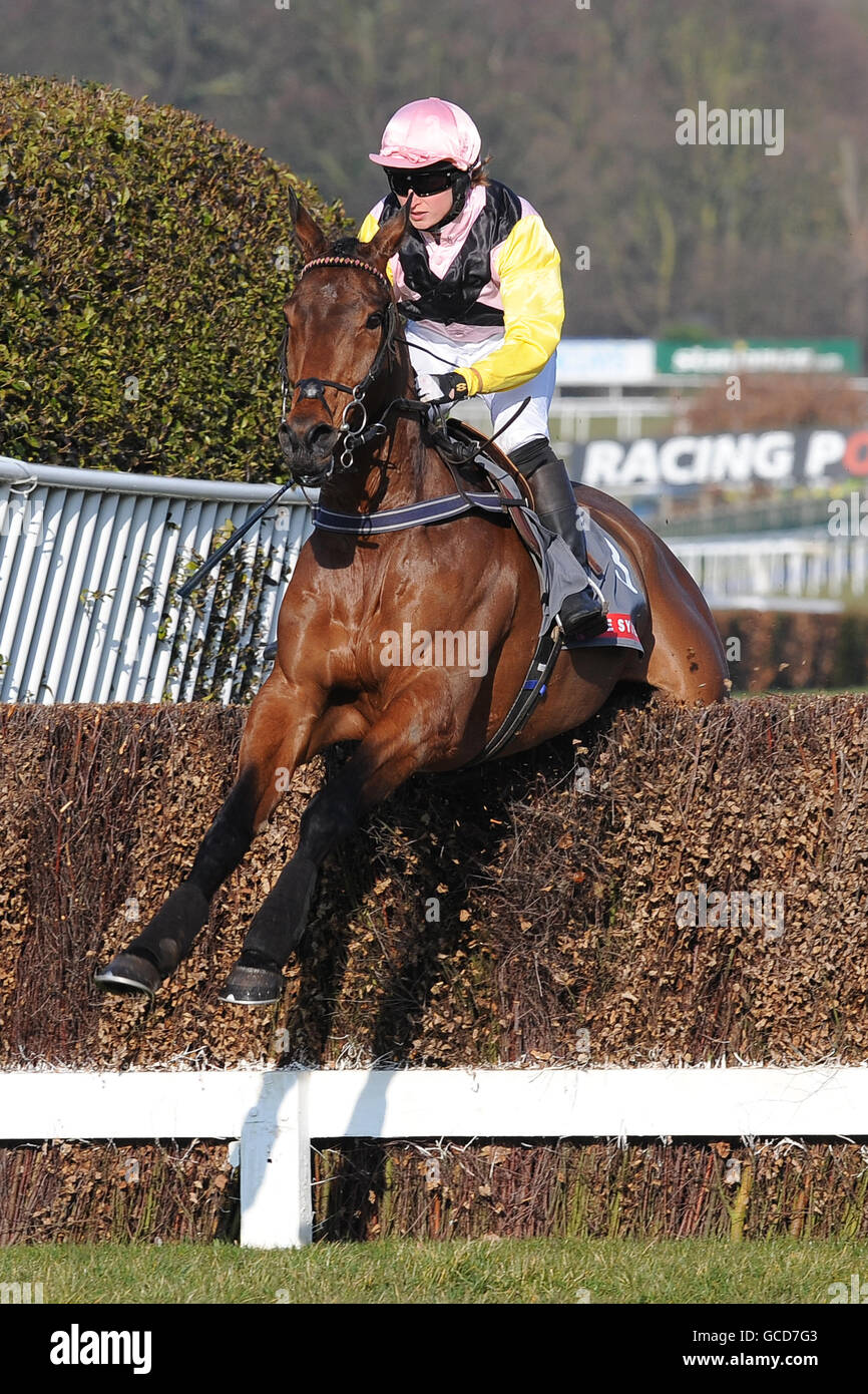 Jockey Lance-Bombardier Sally Randell on Oakfield Legend jumps during ...