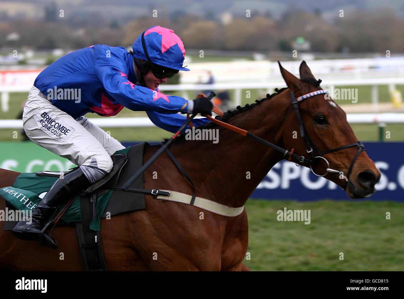 Cue card cheltenham hi-res stock photography and images - Alamy