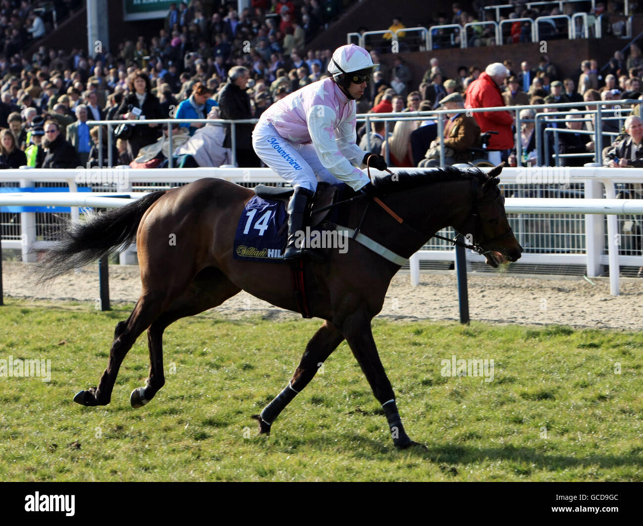 Graham Lee on New Alco goes to post in the William hill Trophy Handicap ...