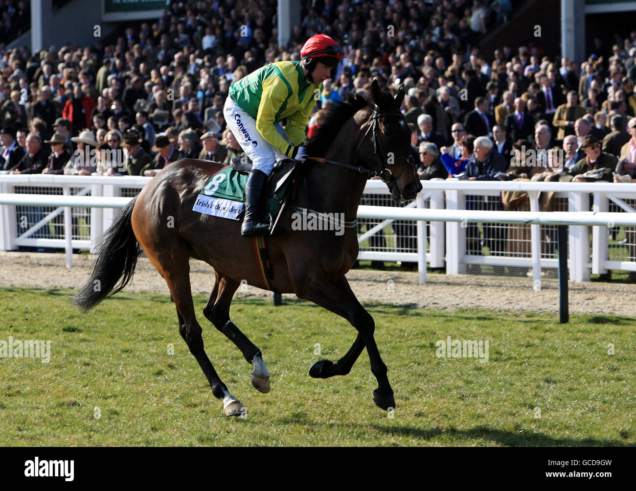 Andrew Lynch on Sizing Europe goes to post in the Irish Independent ...