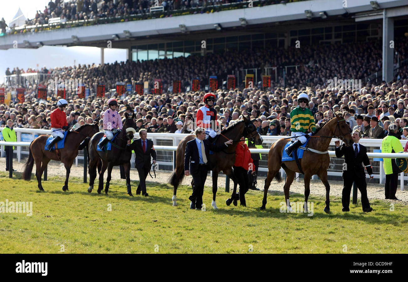 Andrew mcnamara on jumbo rio hi-res stock photography and images - Alamy