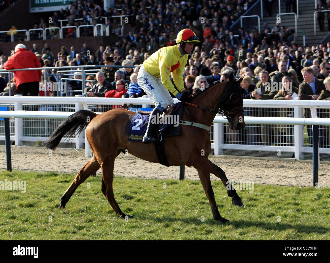 Joe lively hi-res stock photography and images - Alamy