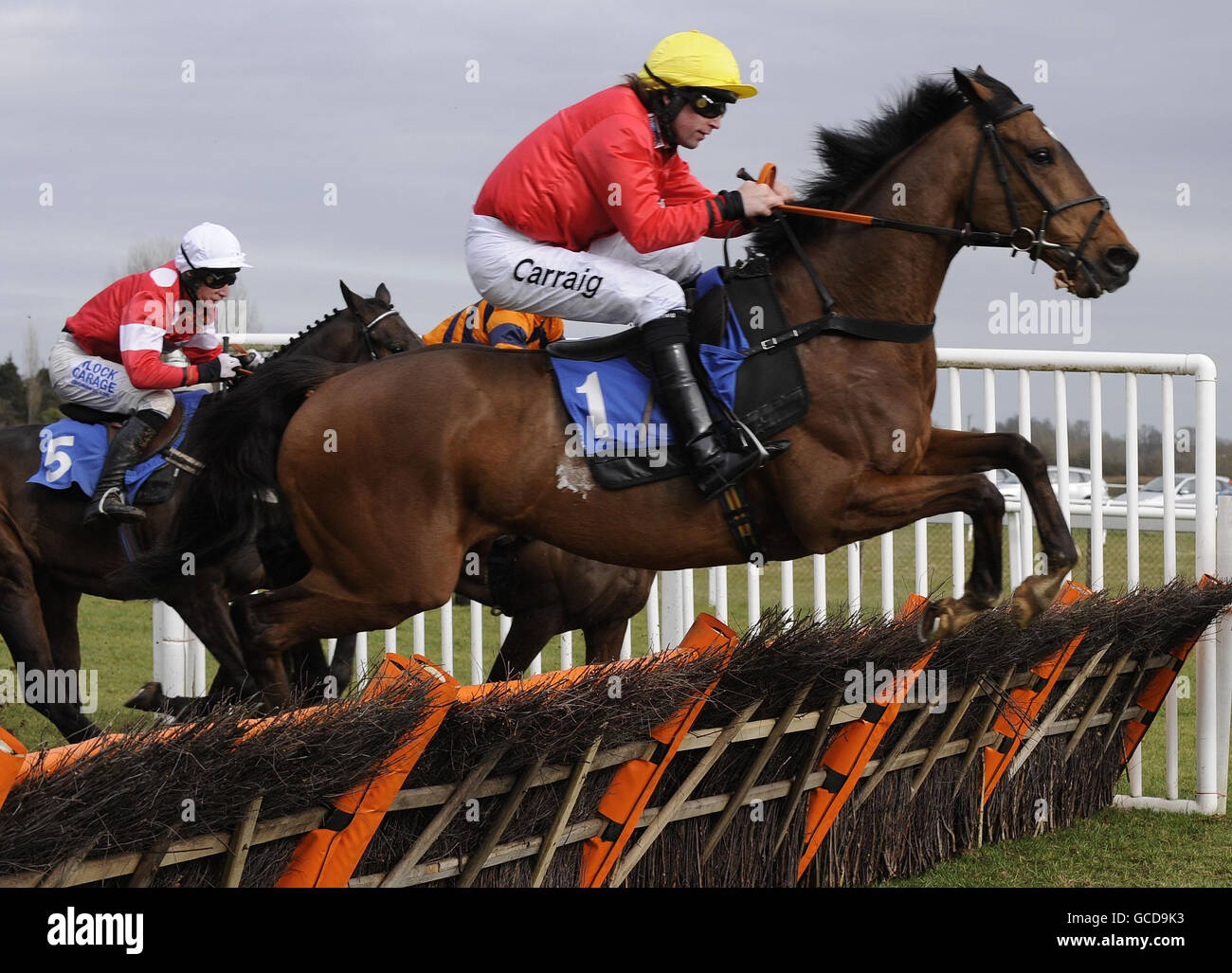 Horse racing at the races raceday plumpton racecourse hi-res stock ...