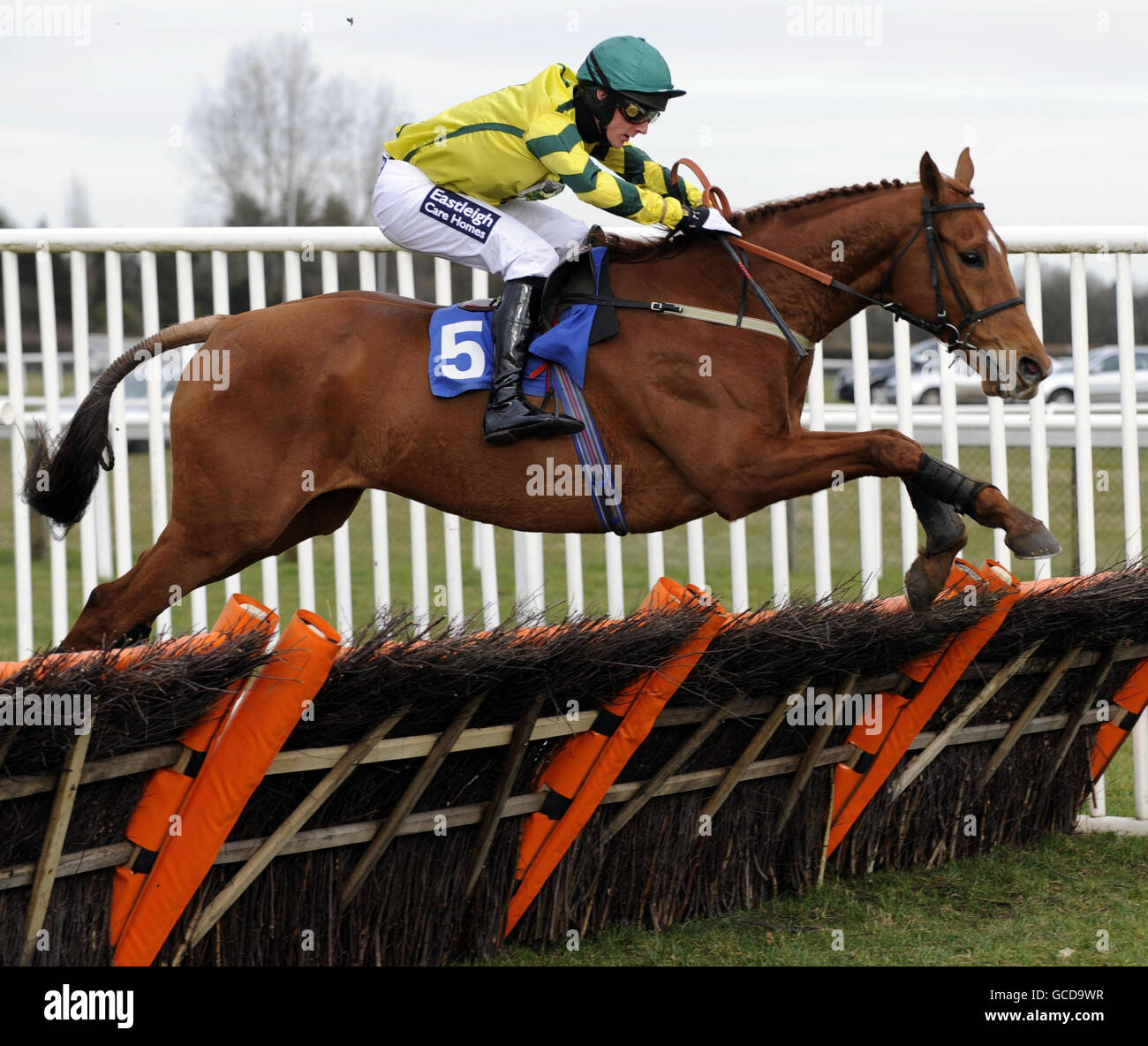 Horse racing at the races raceday plumpton racecourse hi-res stock ...
