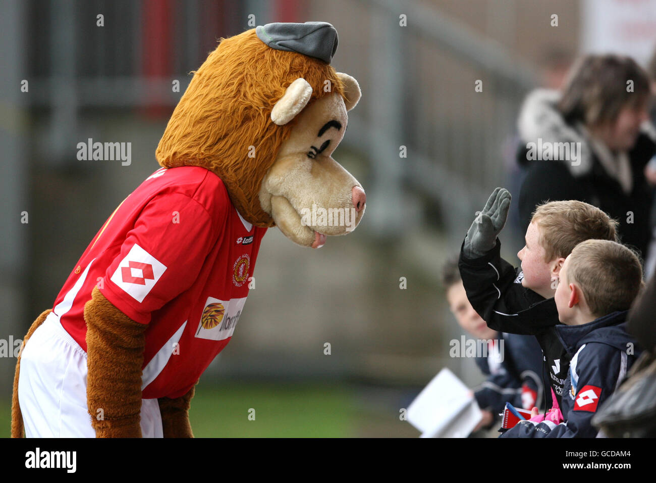 Crewe Alexandra mascot Gresty the Lion high fives a young fan in the ...