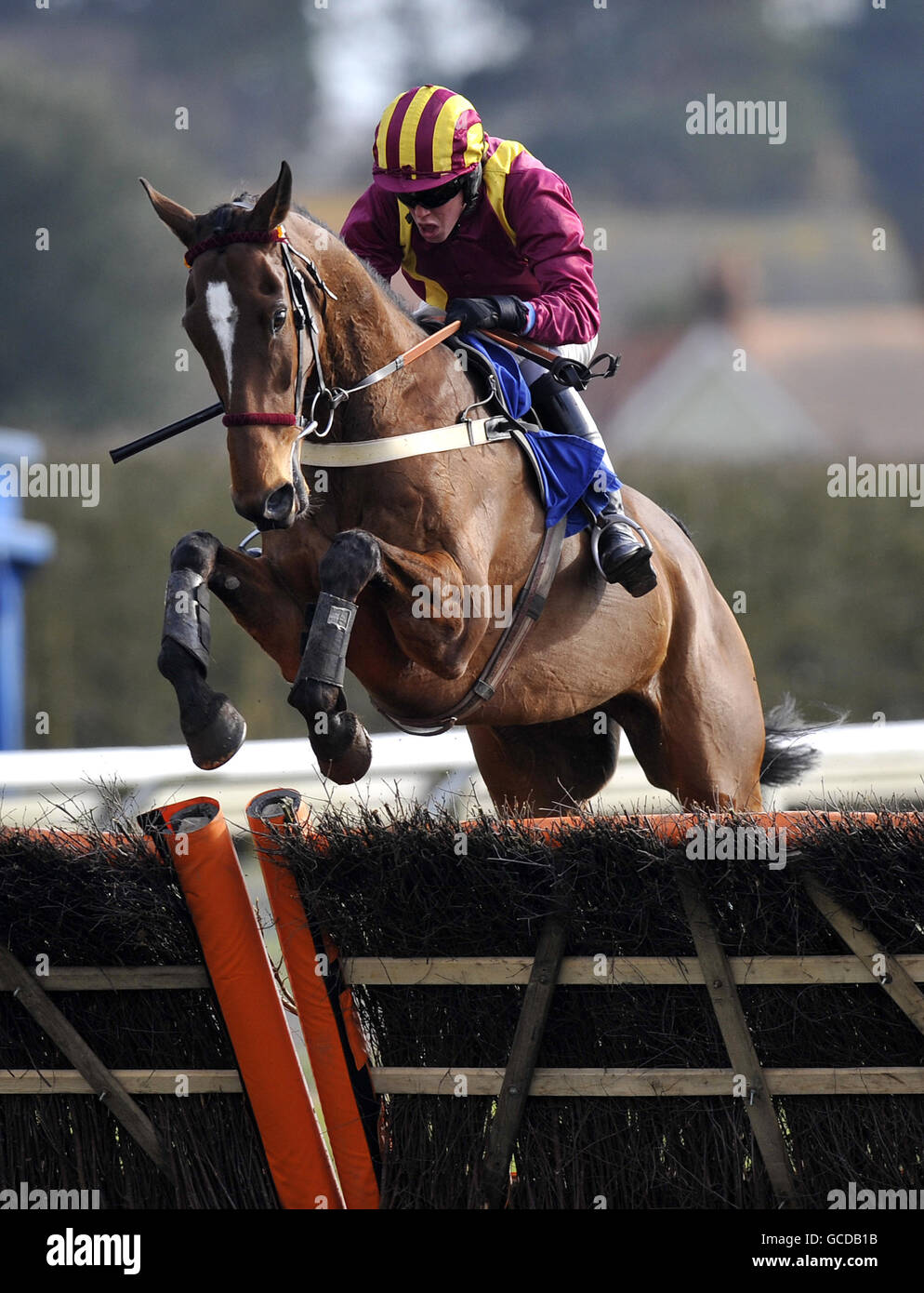 Horse Racing - Family Race Day with TV's Sportacus - Fontwell ...