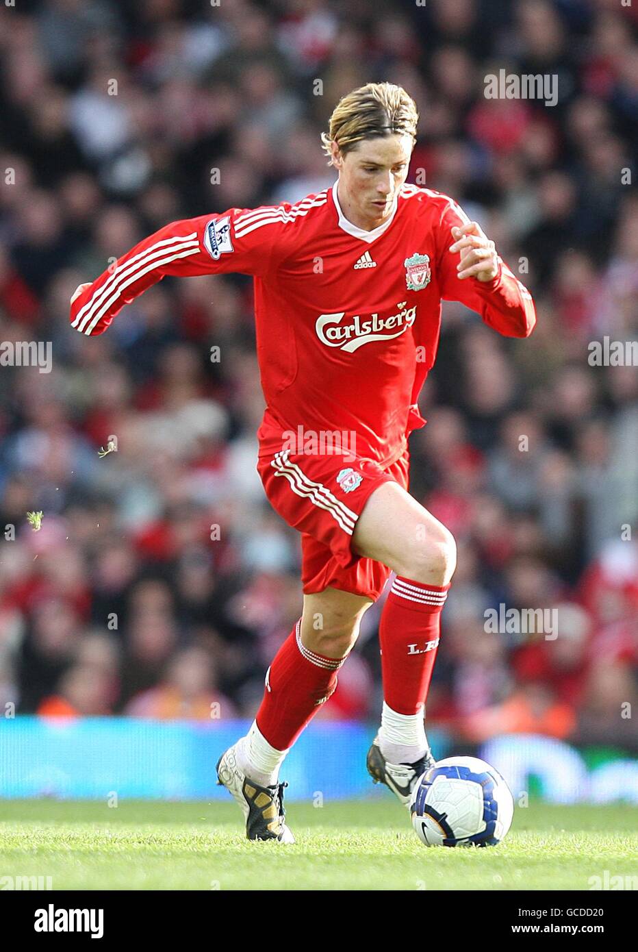 Sunderland and fernando torres hi-res stock photography and images - Alamy