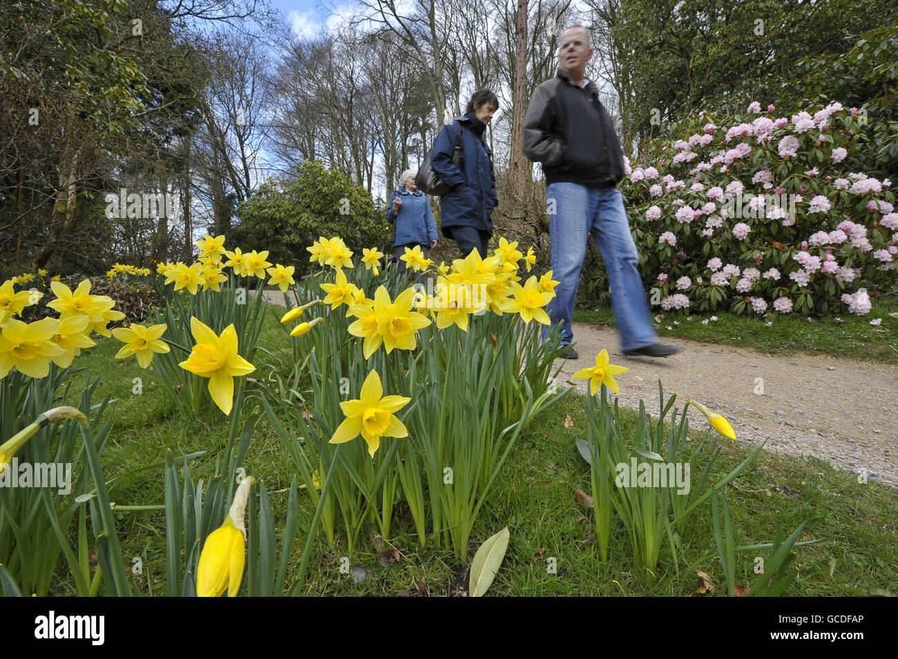 Stourhead spring hi-res stock photography and images - Alamy