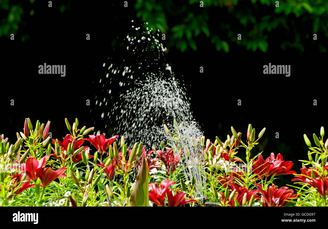 GARDEN WATER FEATURE Stock Photo - Alamy