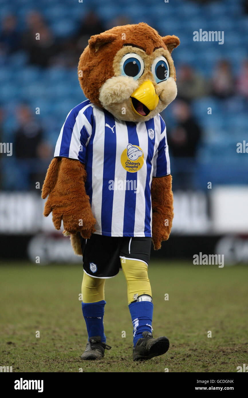 Sheffield wednesday mascot barney owl hi-res stock photography and ...