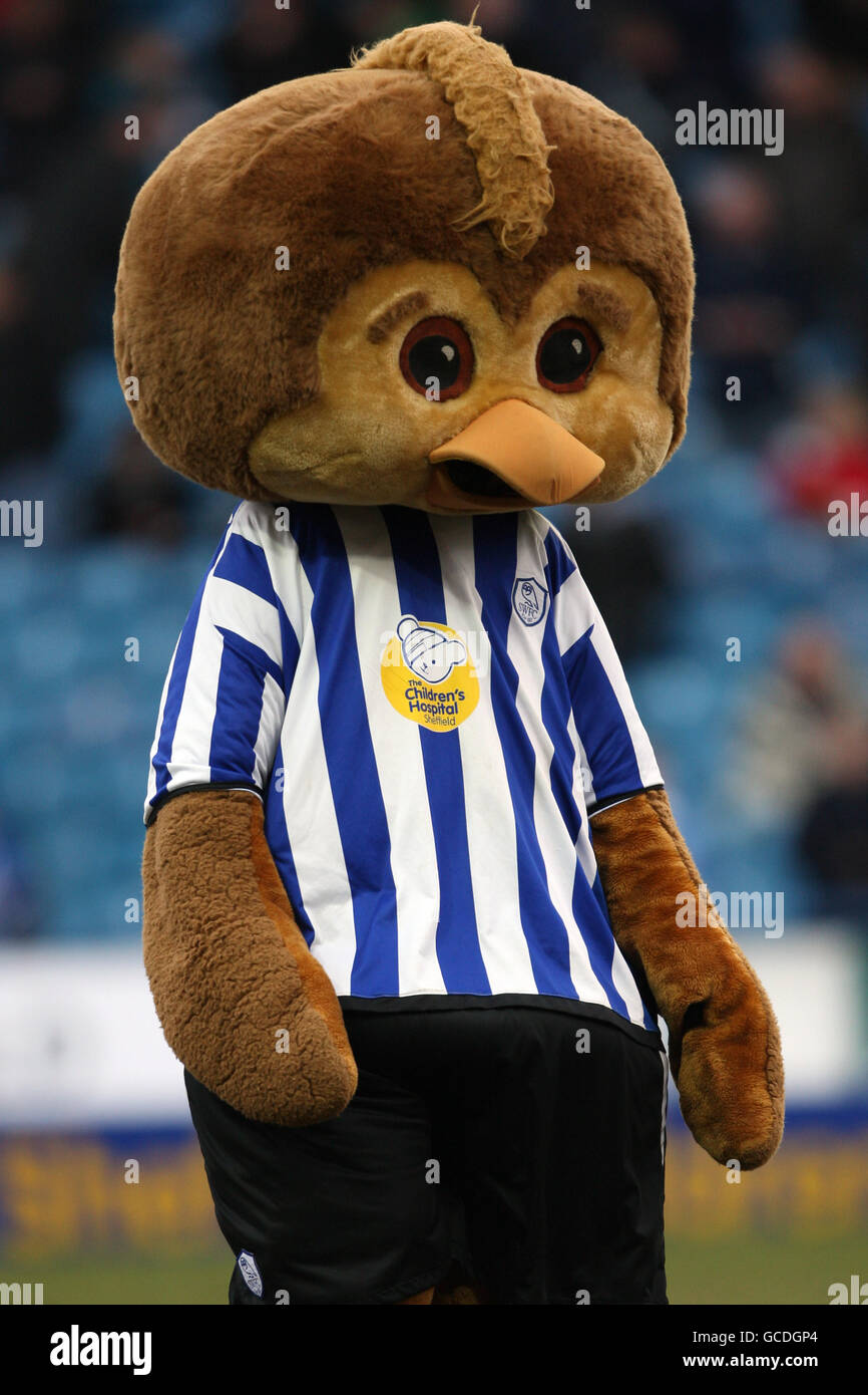 Sheffield wednesday mascot ozzie the owl hi-res stock photography and ...