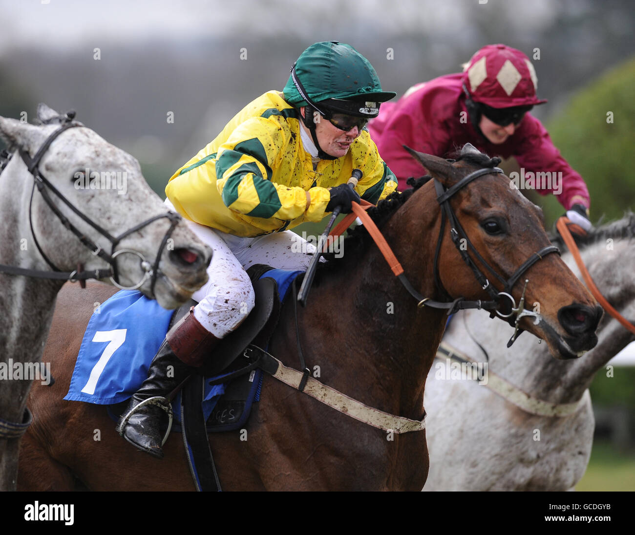 Major erica bridge hi-res stock photography and images - Alamy