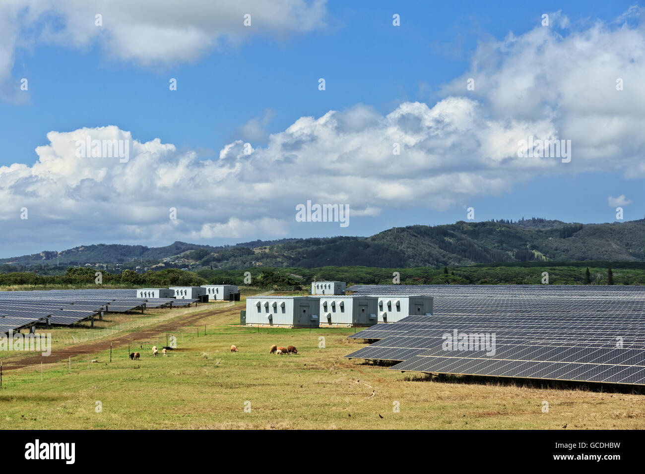 Hawaii solar farm hi-res stock photography and images - Alamy