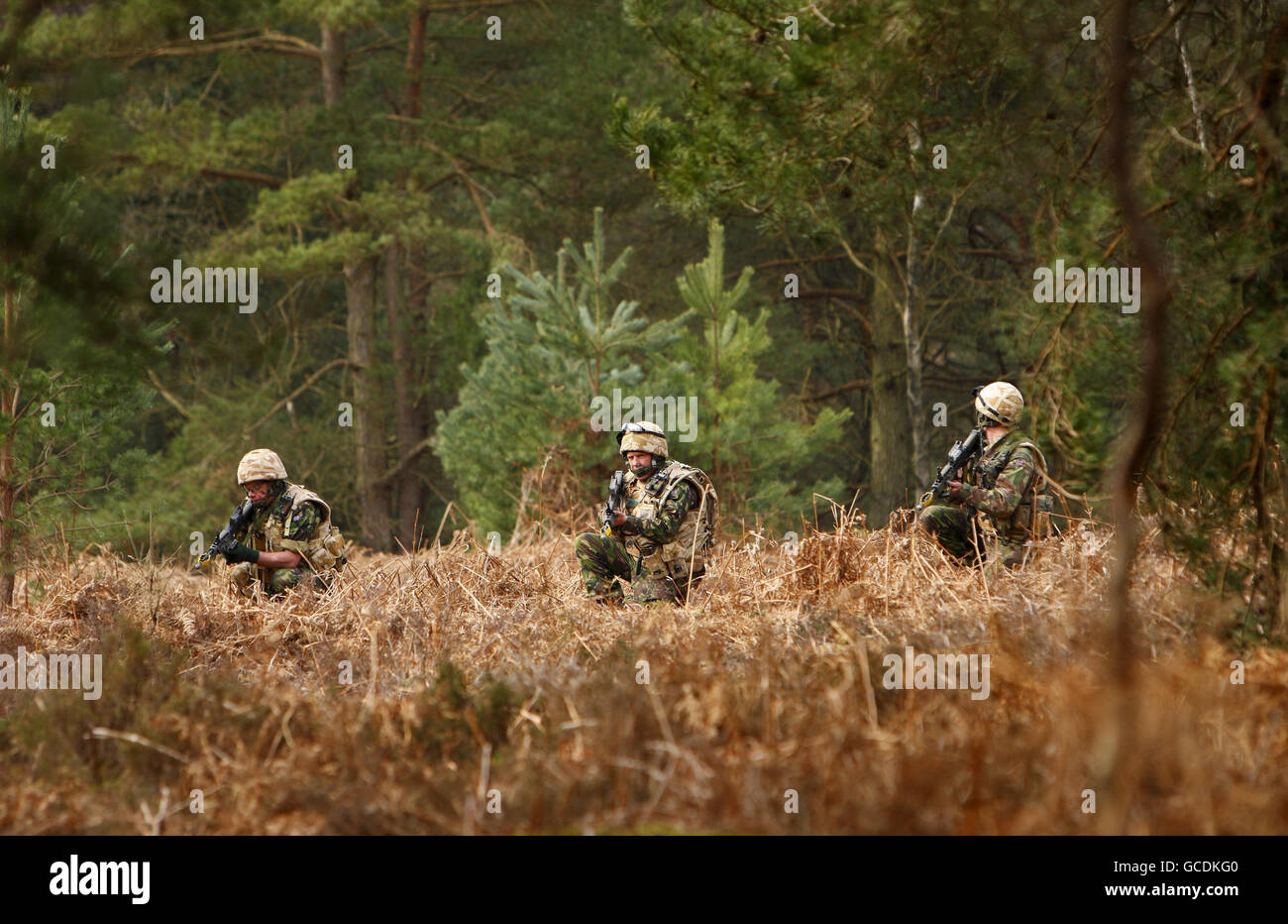Longmoor military camp hi-res stock photography and images - Alamy