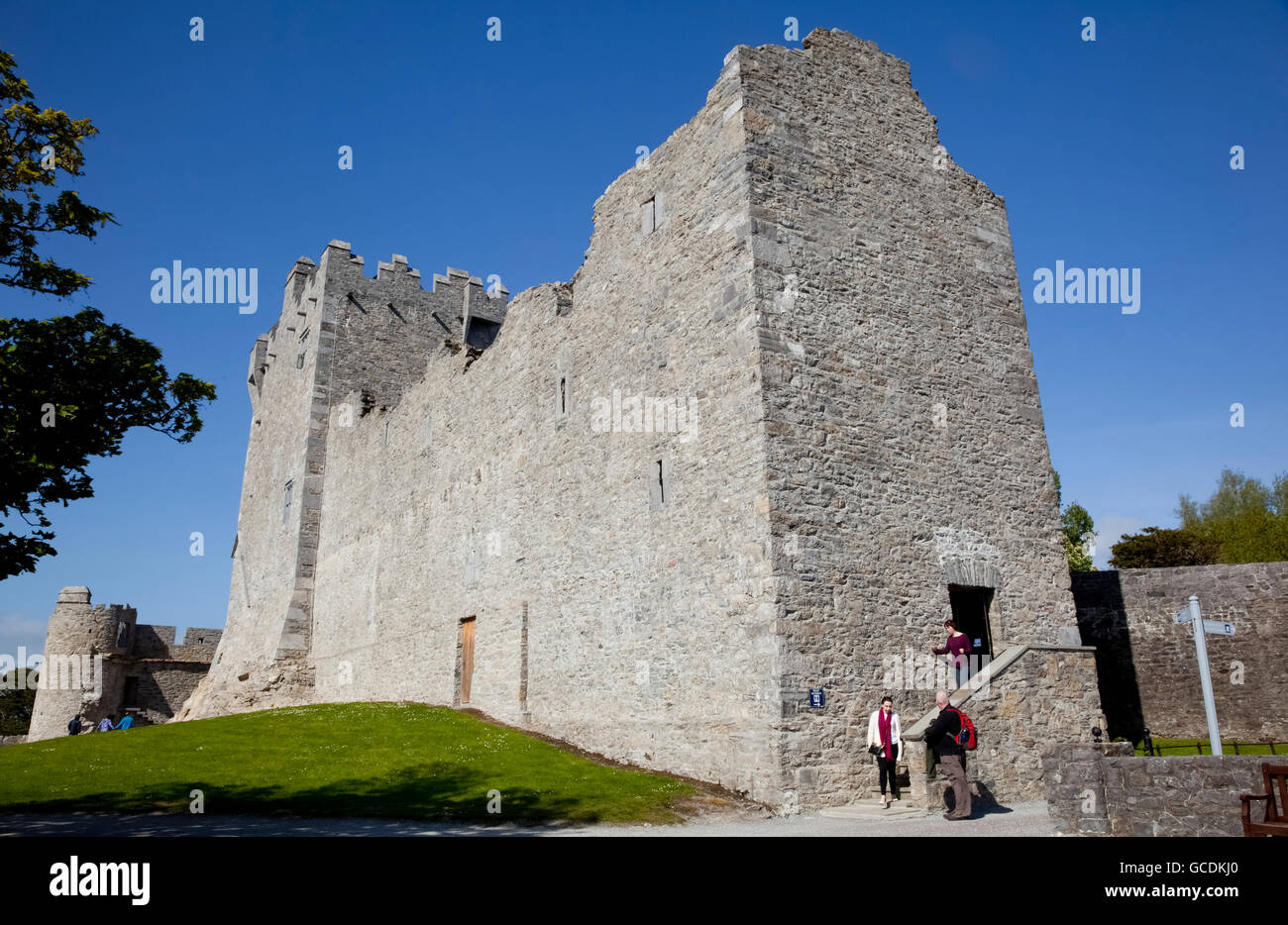 Ross Castle; Killarney, County Kerry, Ireland Stock Photo - Alamy