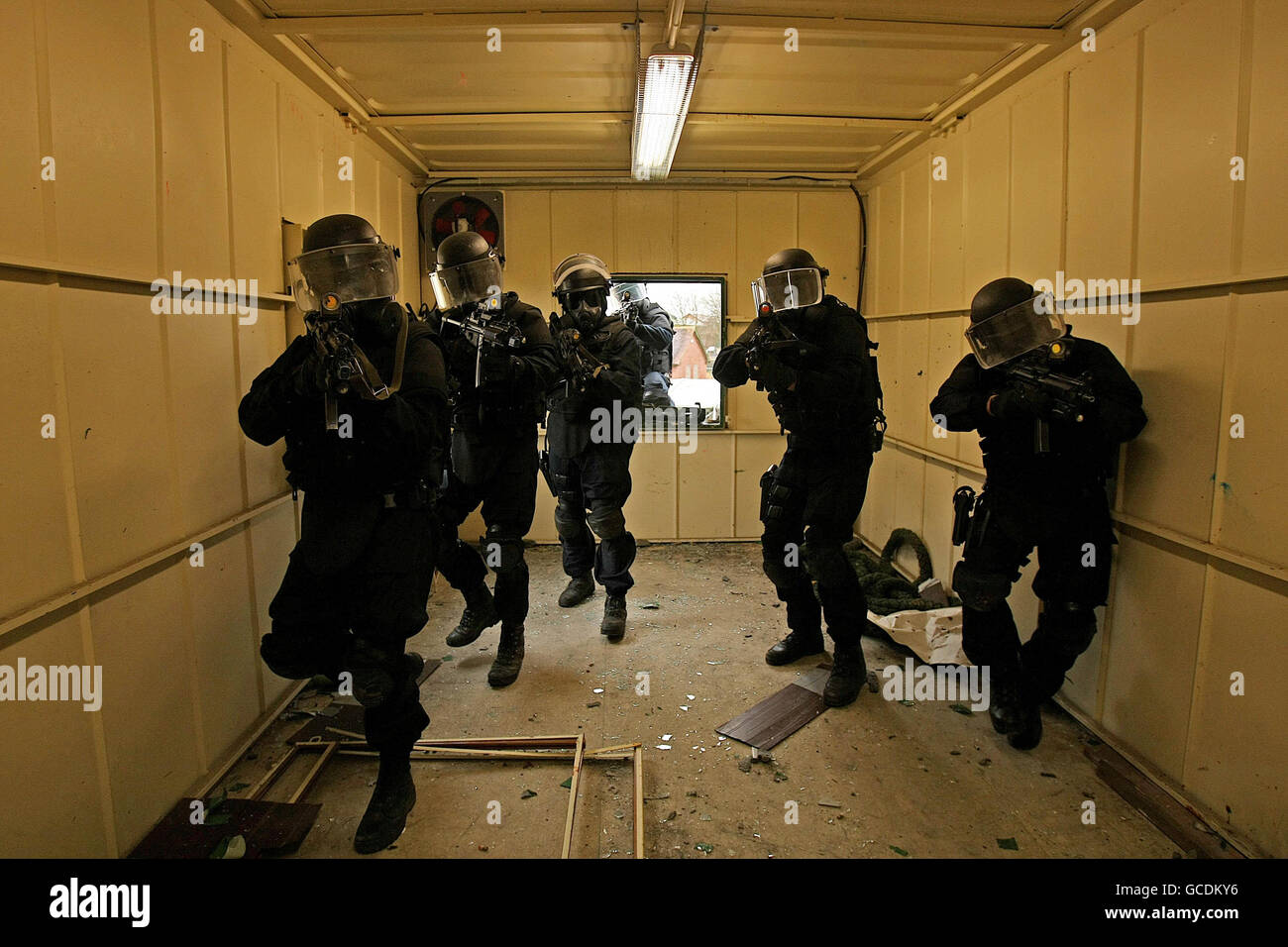 Irish Army Ranger Wing 30th anniversary Stock Photo - Alamy