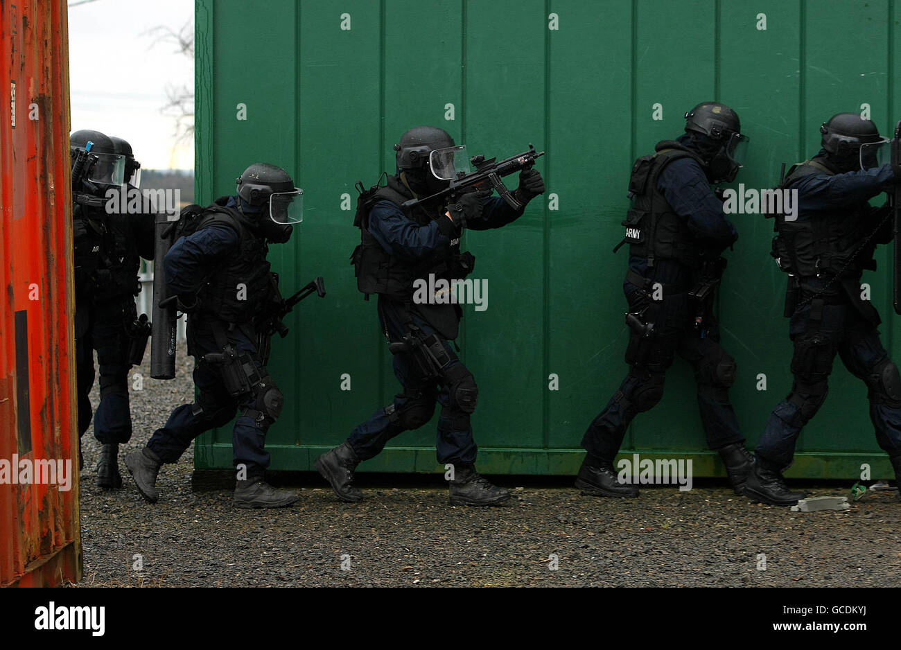 Irish Army Ranger Wing 30th anniversary Stock Photo - Alamy