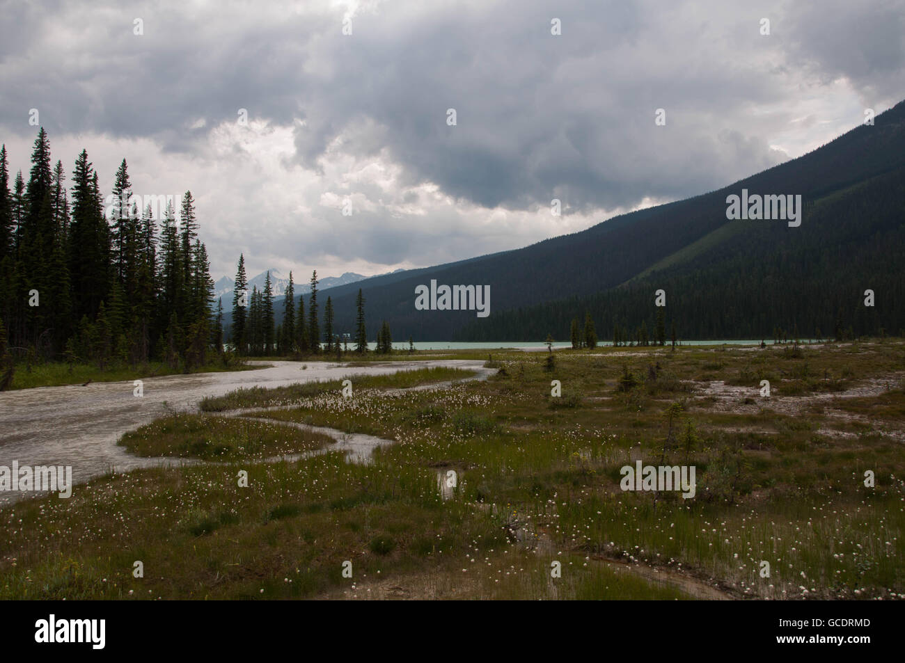 Where prairies meet the mountains Stock Photo - Alamy
