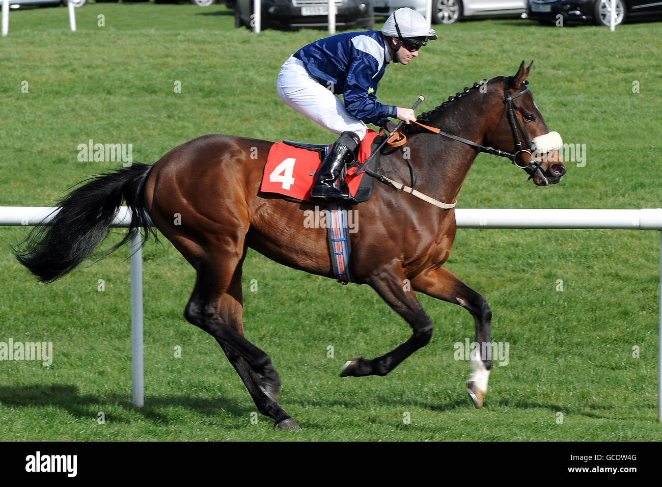 Jockey Robert Winston on Merchant of Dubai goes to post for The ...