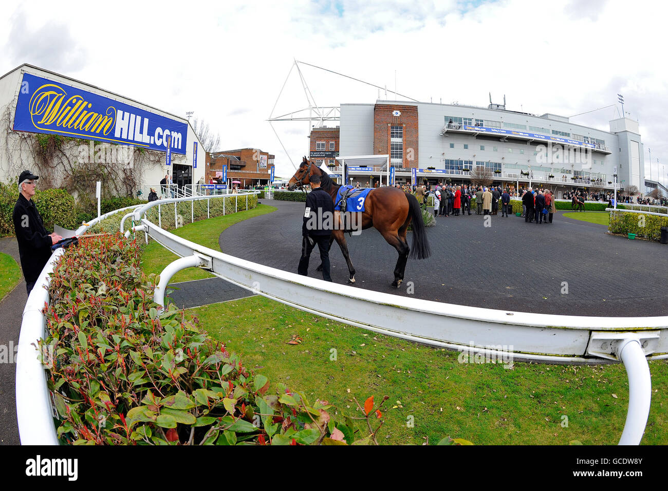Horse Racing - Kempton Park Racecourse. Horses are walked around the ...