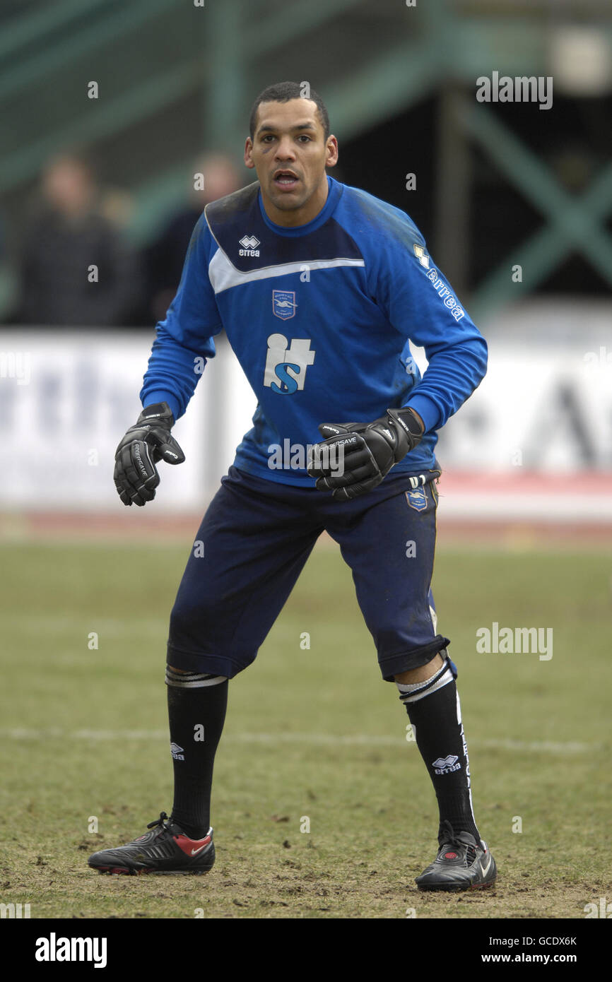 Brighton and hove albion goalkeeper michel kuipers hi-res stock ...