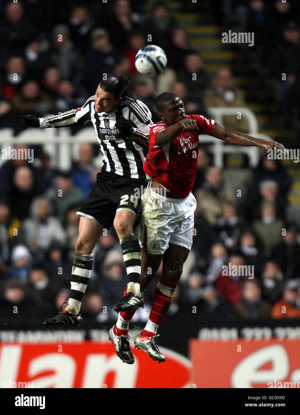 Soccer - Coca-Cola Football League Championship - Newcastle United v ...