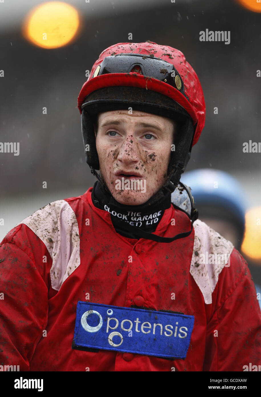 Daryl jacob cheltenham hi-res stock photography and images - Alamy
