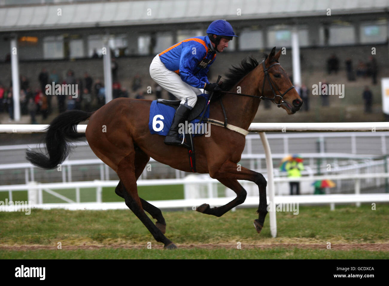 Horse Racing - Chepstow Racecourse Stock Photo - Alamy