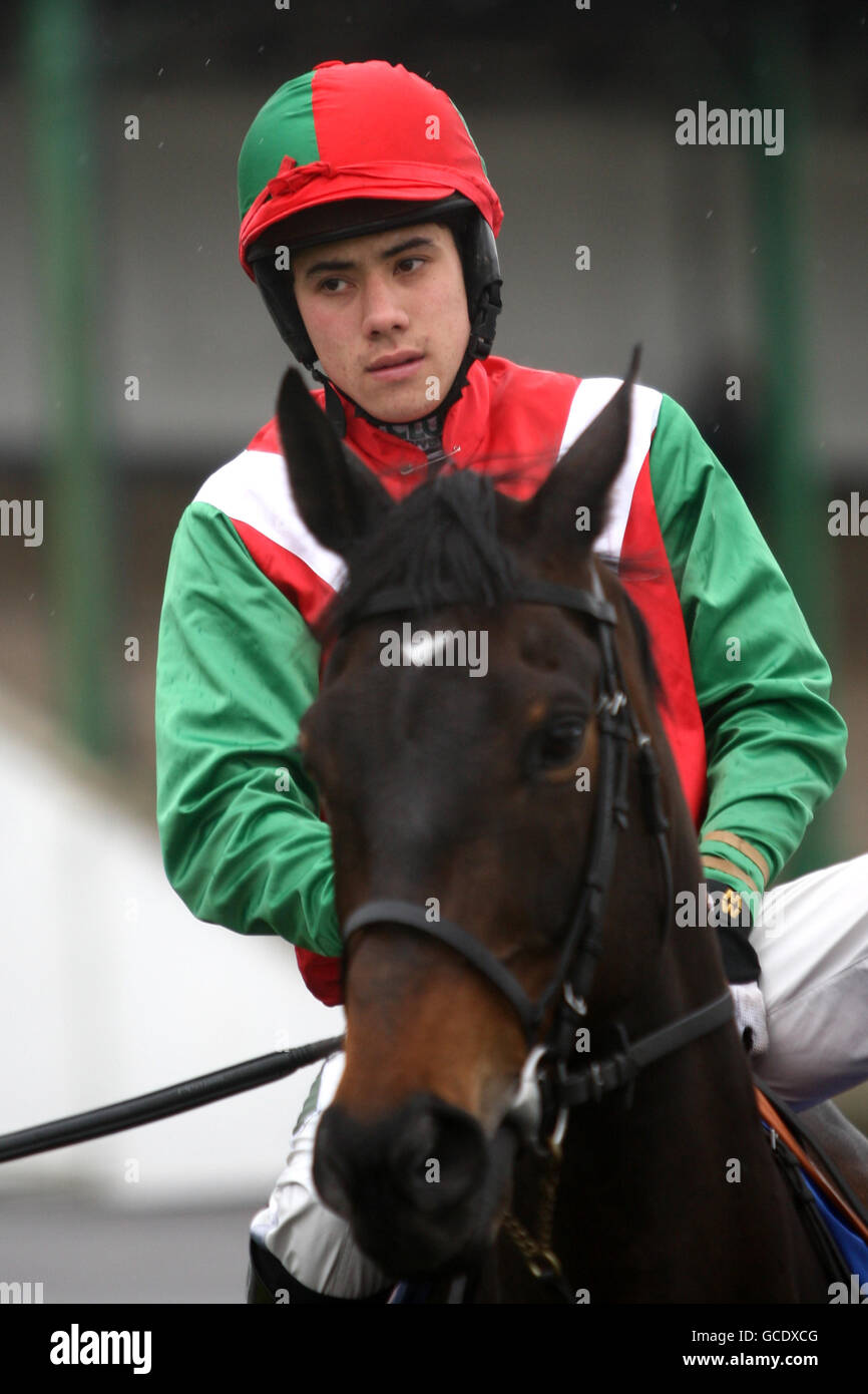 Felix de hi-res stock photography and images - Alamy