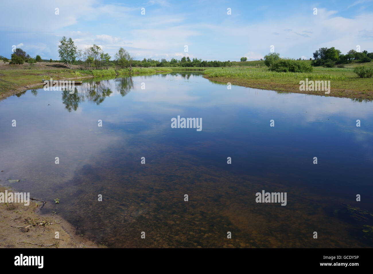 landscape with mountains trees and a river in front Stock Photo - Alamy