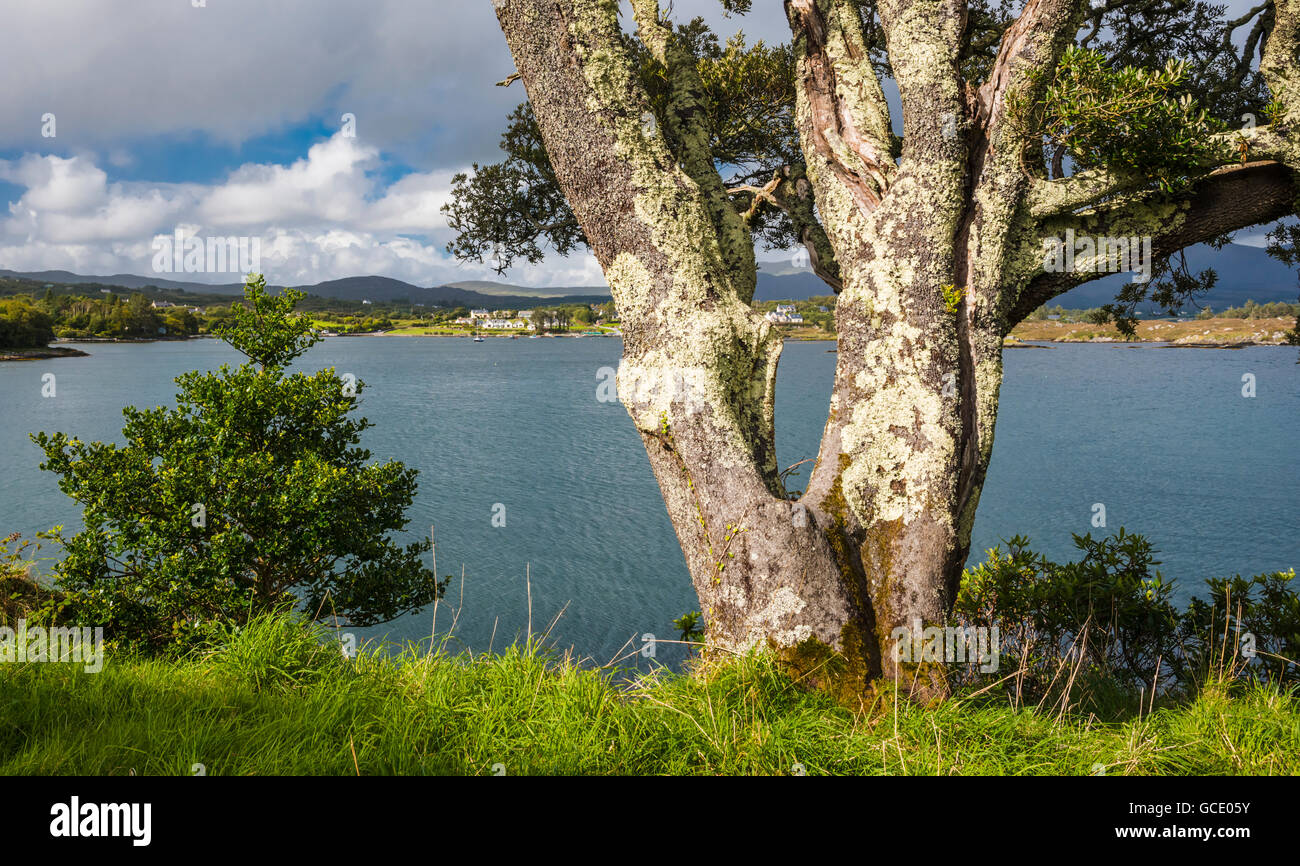 Dunboy hi-res stock photography and images - Alamy