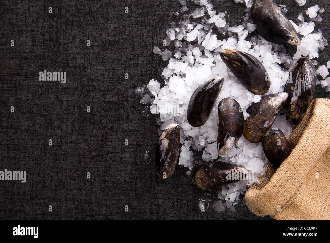 Bag of shells hi-res stock photography and images - Alamy