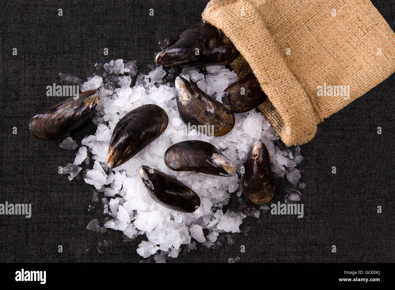 Shells on ice on brown burlap bag, flat lay. Luxurious seafood ...