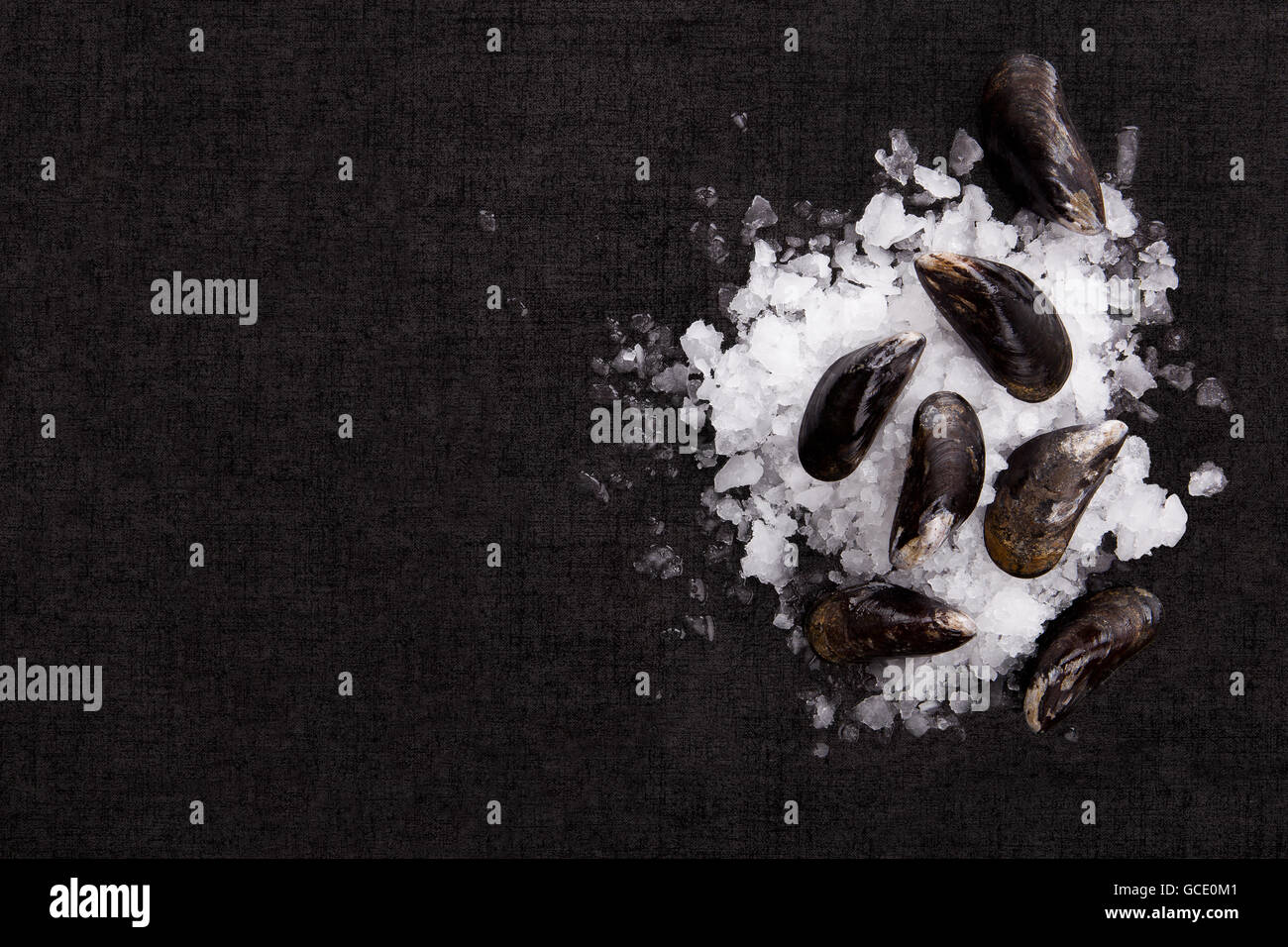 Luxurious seafood background. Shells on ice on black stone table, top ...