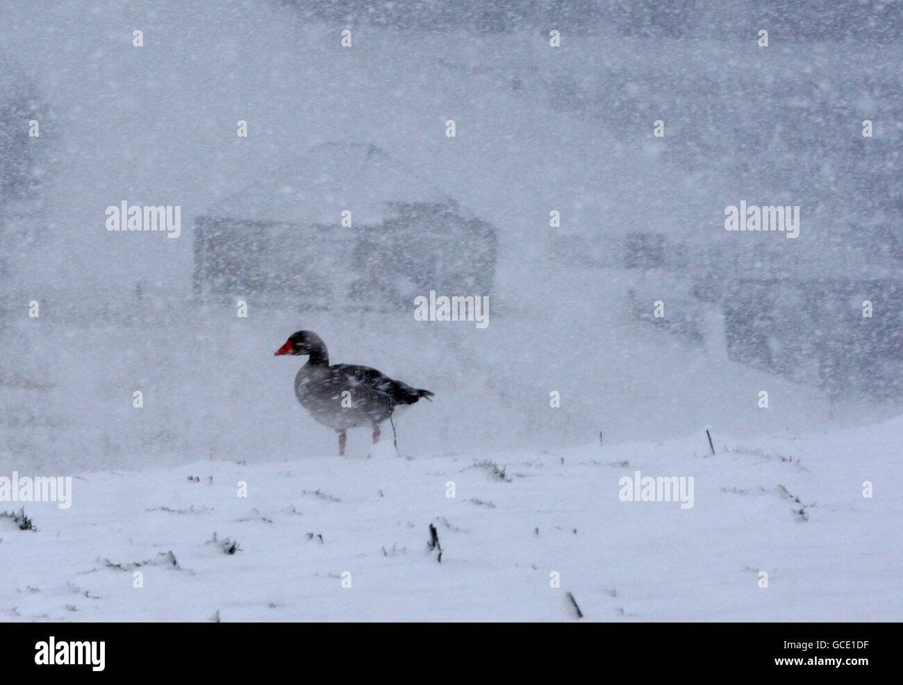 Spring weather March30th Stock Photo - Alamy