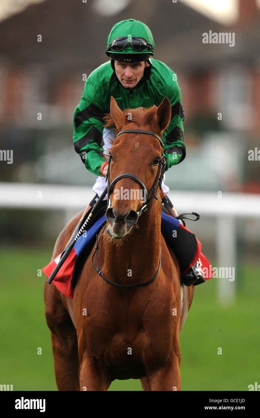 Horse racing the lincoln meeting doncaster racecourse hi-res stock ...