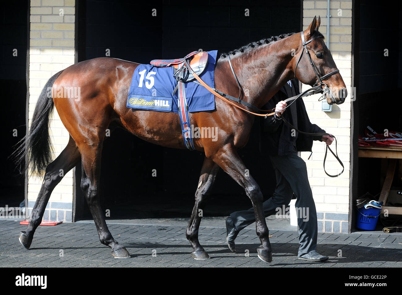 Horse Racing - The Lincoln Meeting - Doncaster Racecourse. Lucky Dance ...