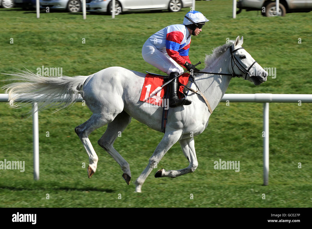 Jockey Rob Kirk on Ermine Grey goes to post for the AJA Gentleman ...